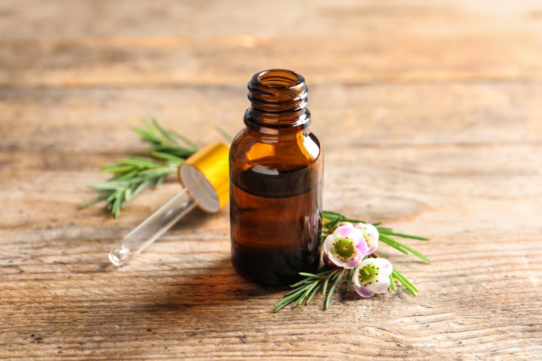 Tea Tree Essential Oil: A Guide to Benefits, Uses and Side Effects