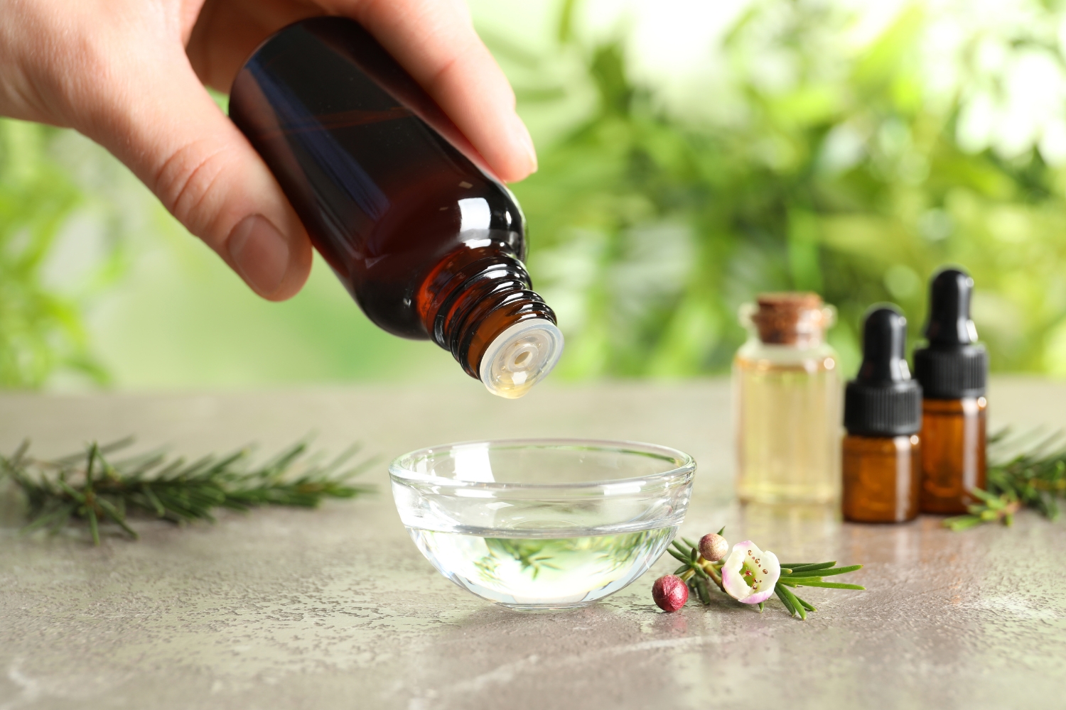 Tea Tree Essential Oil: A Guide to Benefits, Uses and Side Effects