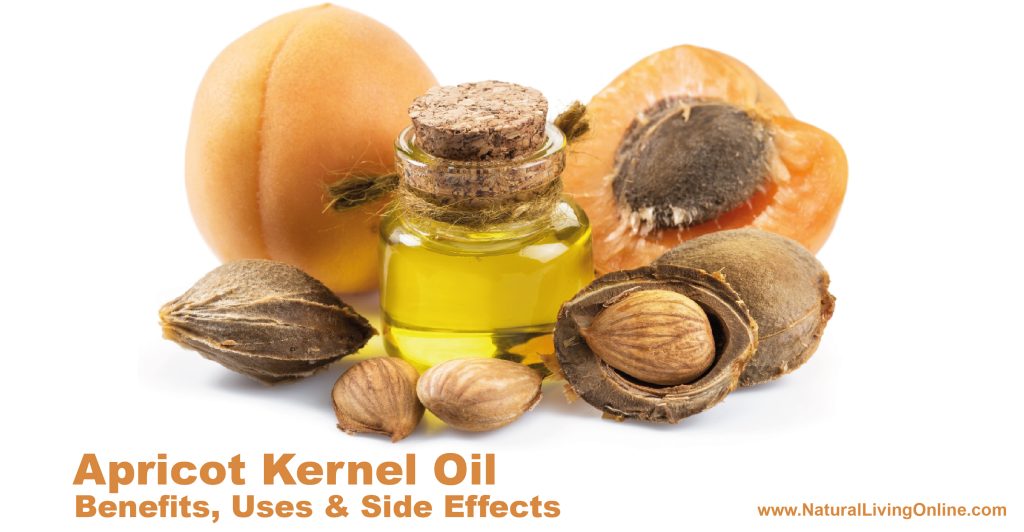 Apricot Kernel Oil Benefits, Uses, and Side Effects: A Comprehensive Guide
