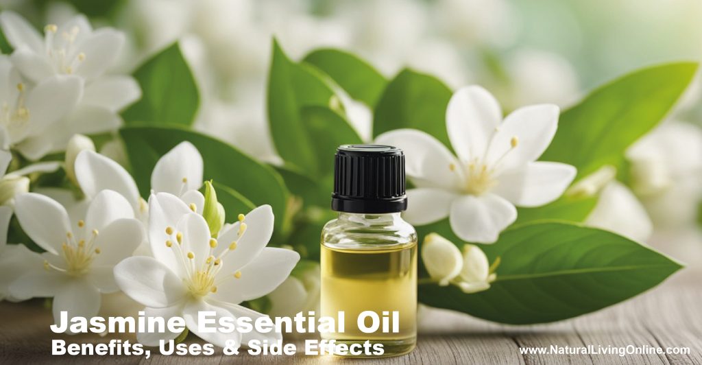 Jasmine Essential Oil Benefits, Uses, and Side Effects: An Expert Guide