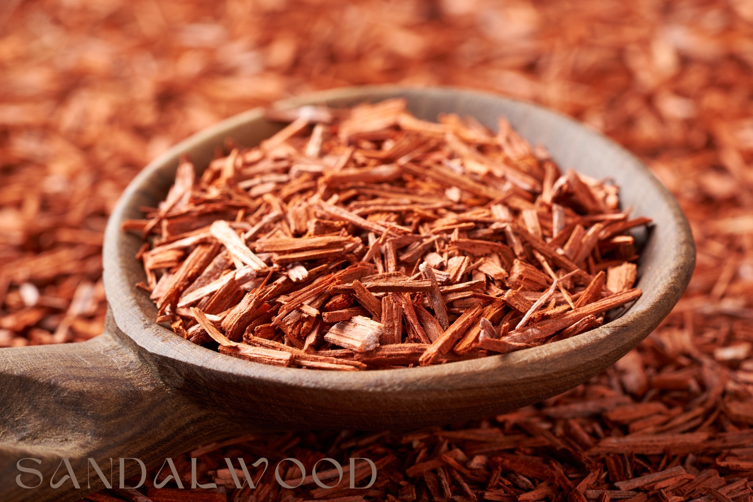 Sandalwood Essential Oil Benefits, Uses, and Side Effects: A ...