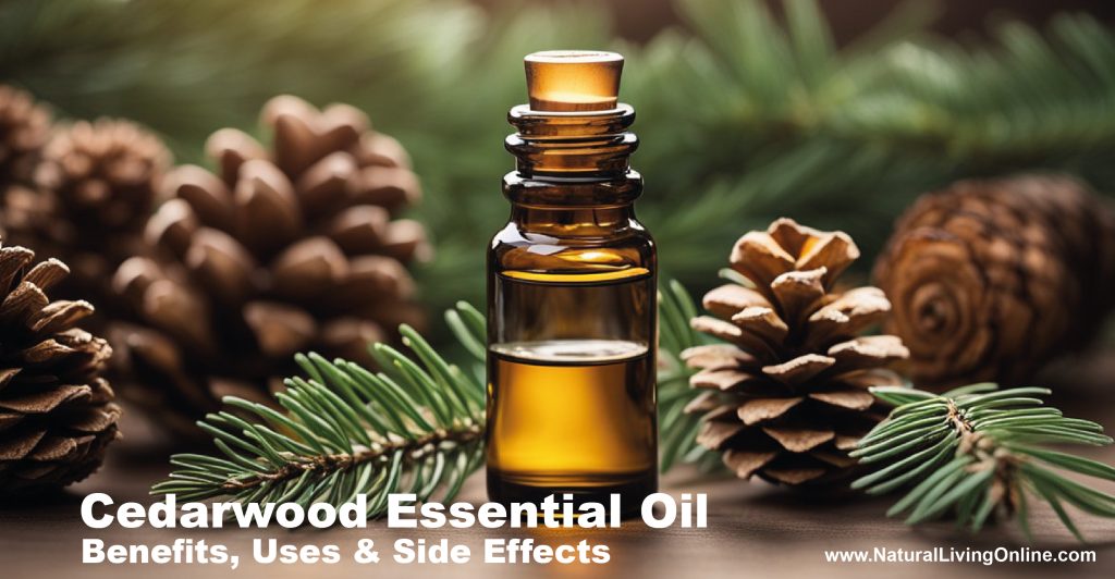 Cedarwood Essential Oil Benefits, Uses, and Side Effects: An Expert Guide