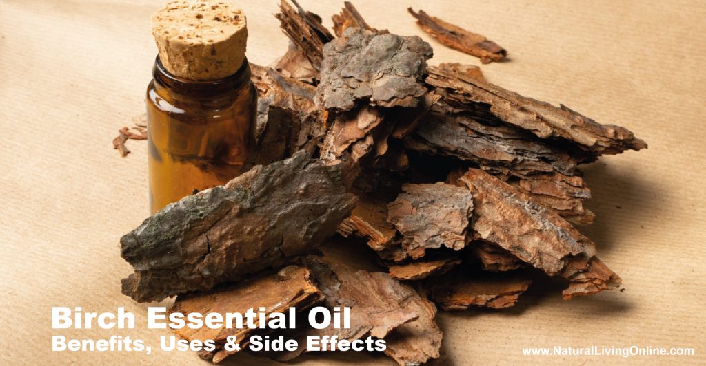 Birch Essential Oil Benefits, Uses, and Side Effects Explained