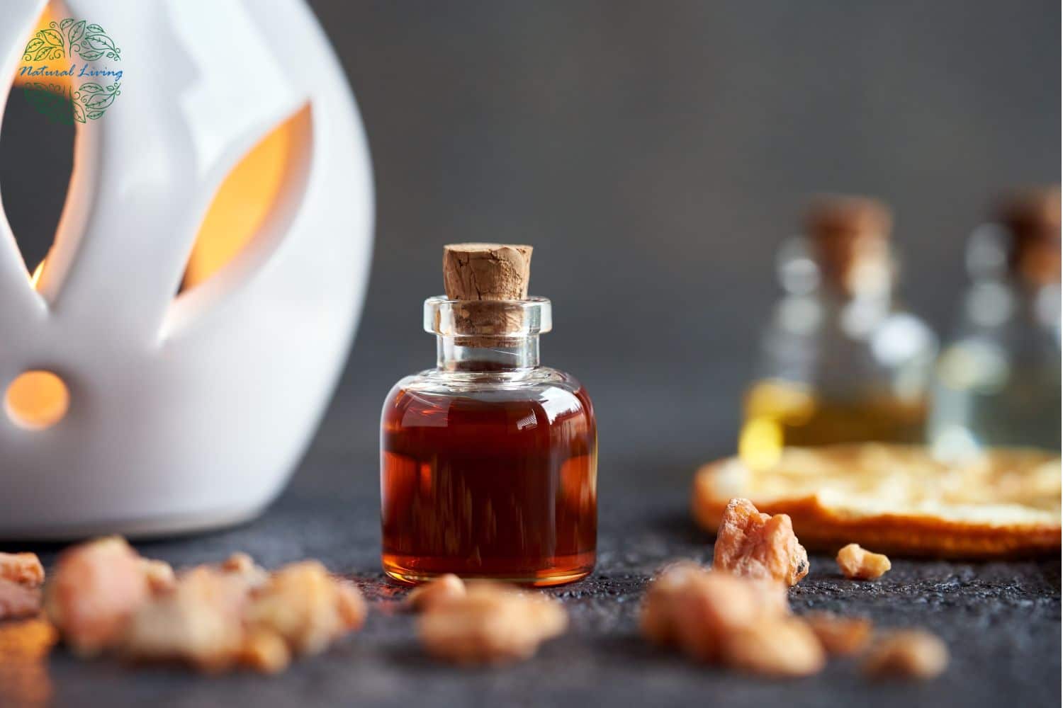 Benzoin Essential Oil Benefits, Uses and Side Effects Explained