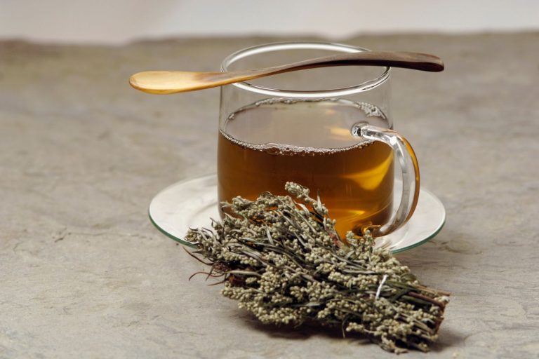 Mugwort Tea Benefits: A Natural Solution for Sleep and Digestion