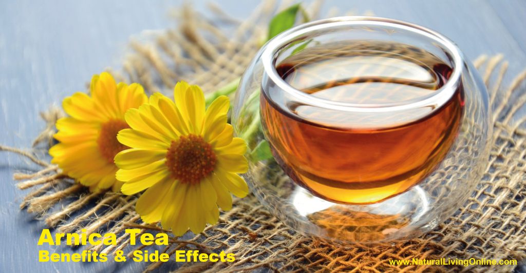 Arnica Tea Benefits & Side Effects: A Comprehensive Guide for Natural ...