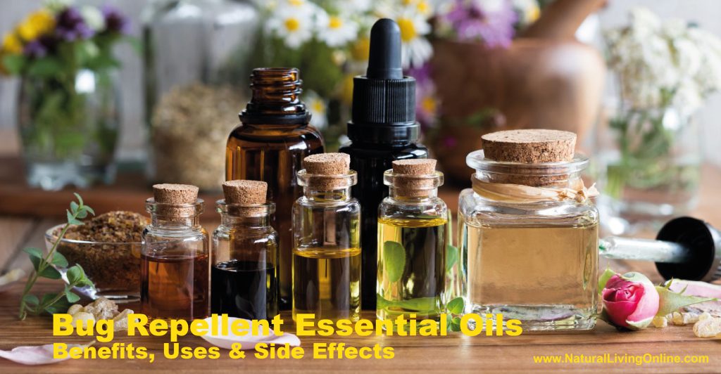 Top Bug Repellent Essential Oils: How to Use Them