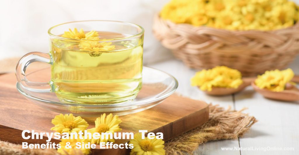 Chrysanthemum Tea Benefits & Side Effects: What You Need to Know