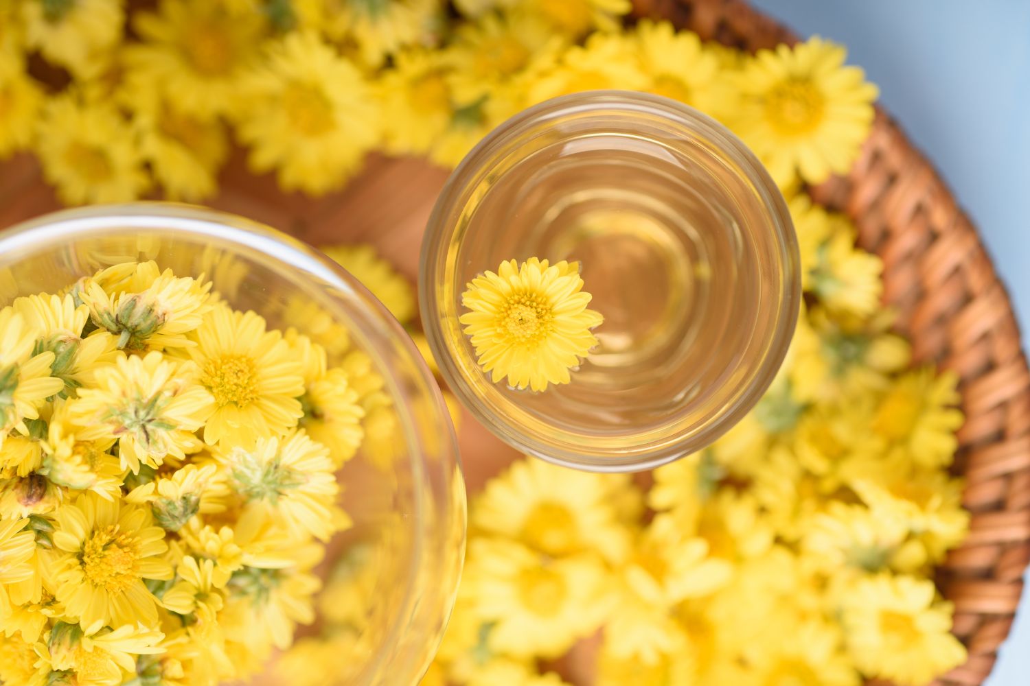 Chrysanthemum Tea Benefits & Side Effects: What You Need to Know