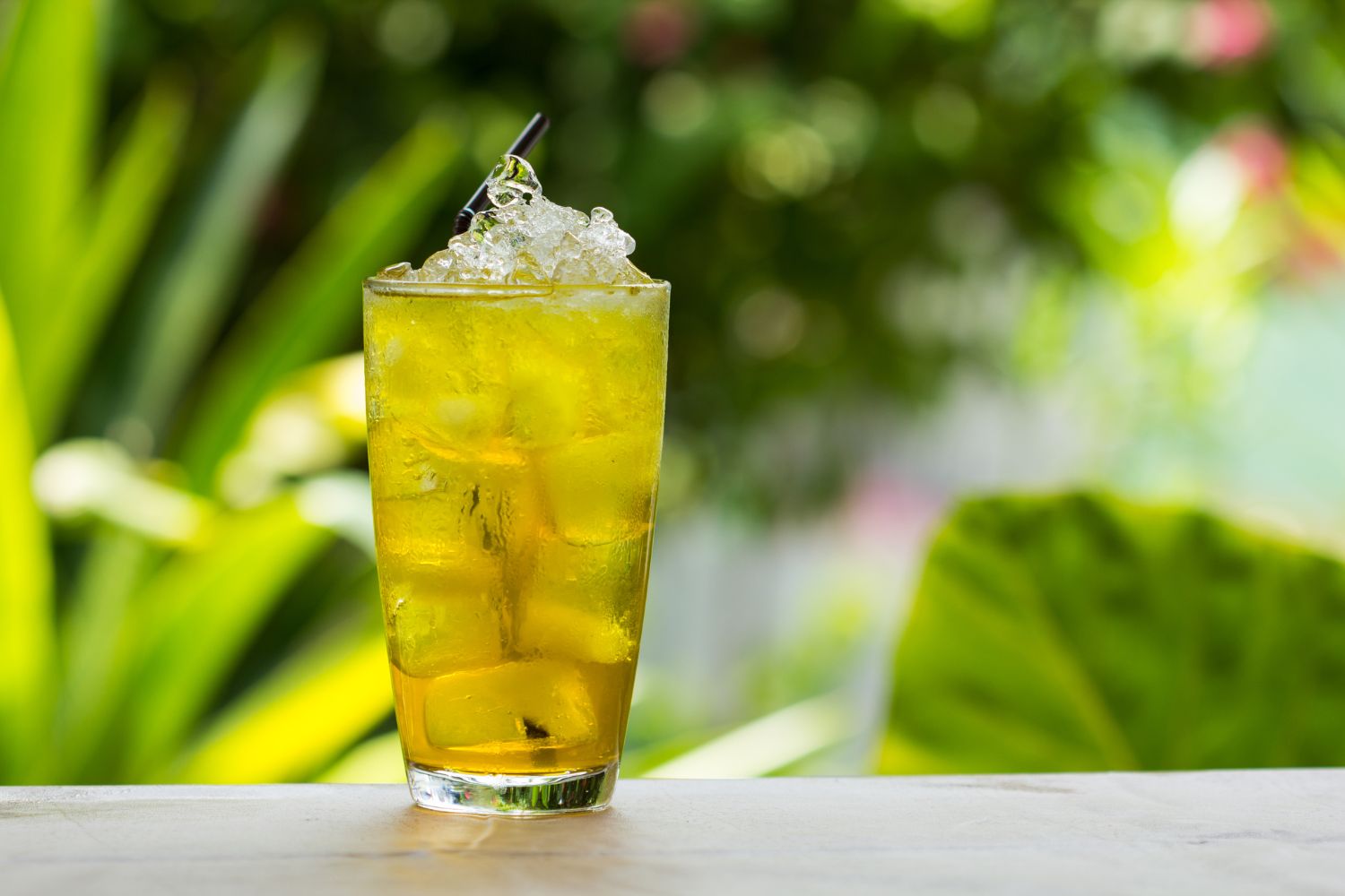 Chrysanthemum Tea Benefits & Side Effects: What You Need to Know