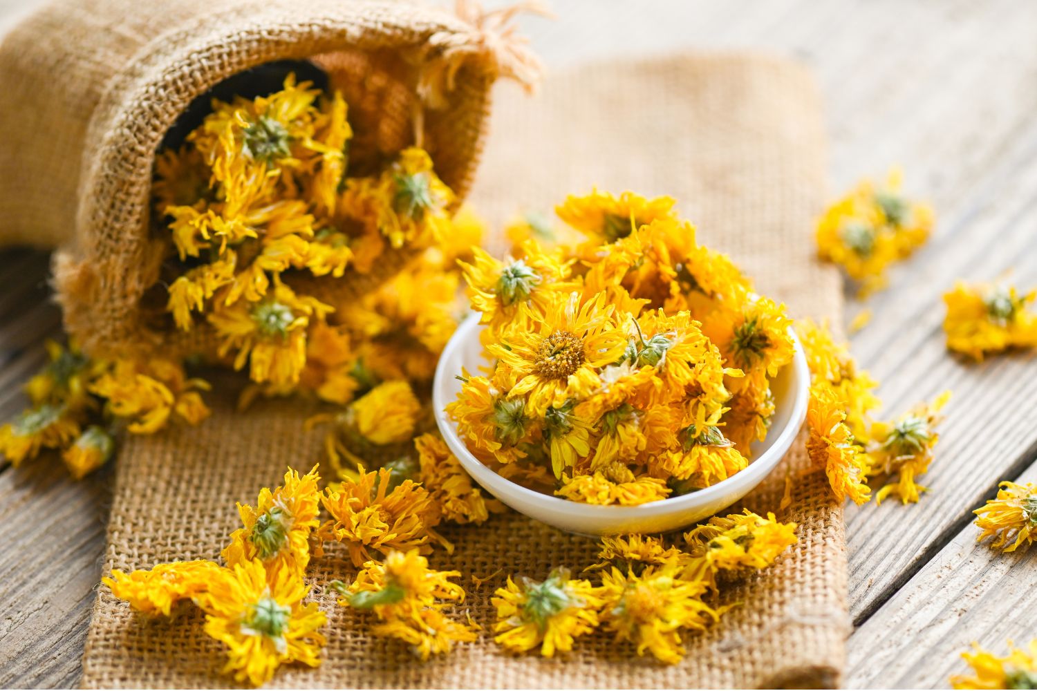 Chrysanthemum Tea Benefits & Side Effects: What You Need to Know