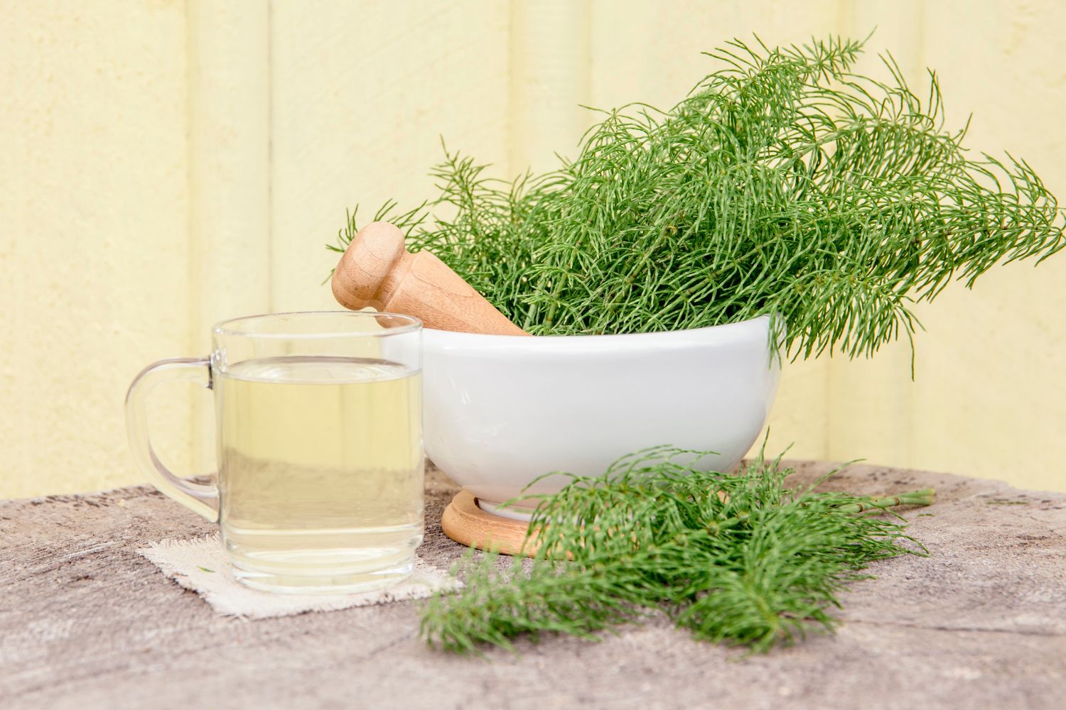 Horsetail Tea Benefits: Boosting Health with an Ancient Herb