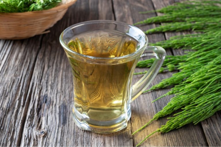 Horsetail Tea Benefits: Boosting Health with an Ancient Herb