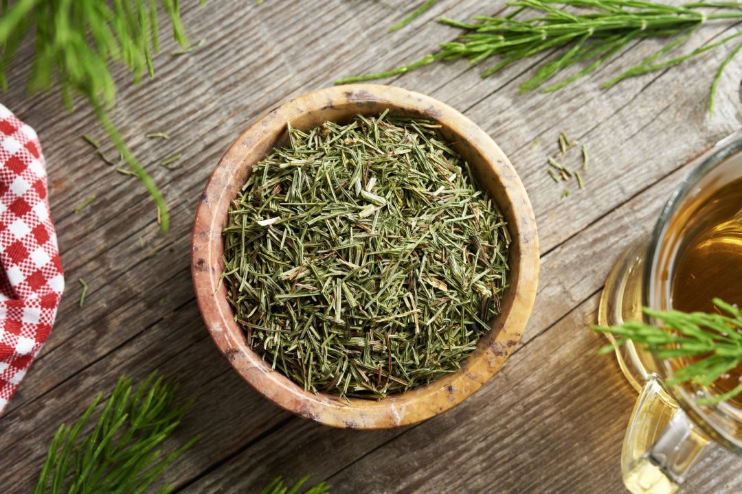Horsetail Tea Benefits: Boosting Health with an Ancient Herb