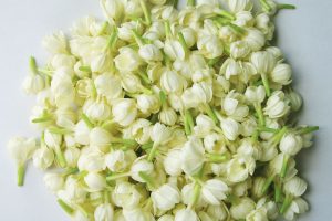 Jasmine Tea Benefits and Side Effects: A Comprehensive Guide