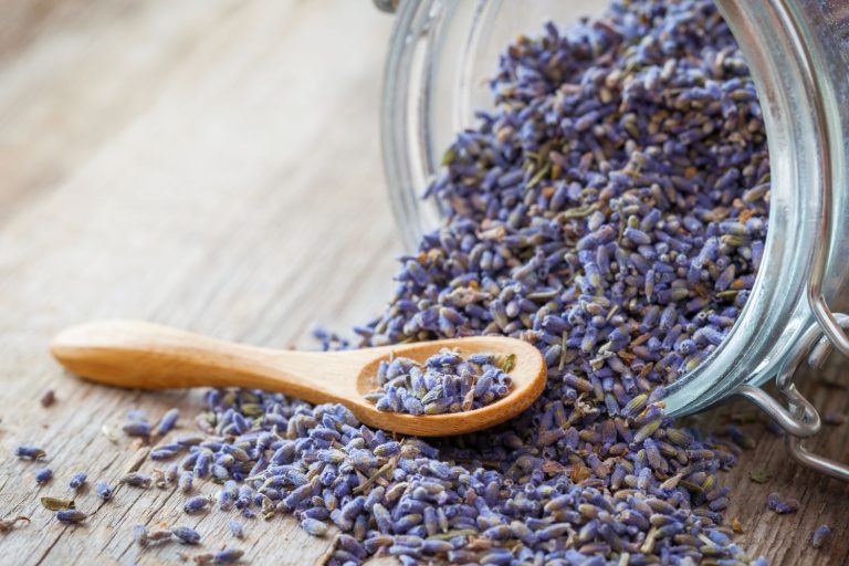 Lavender Tea Benefits and Side Effects: What You Need to Know