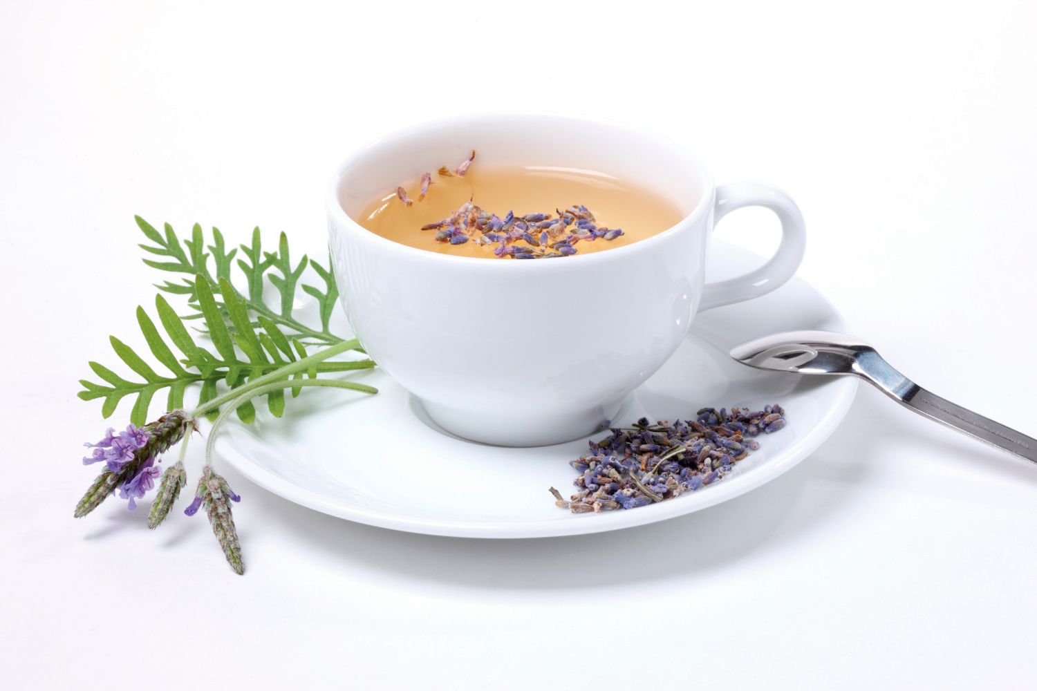 Lavender Tea Benefits and Side Effects: What You Need to Know