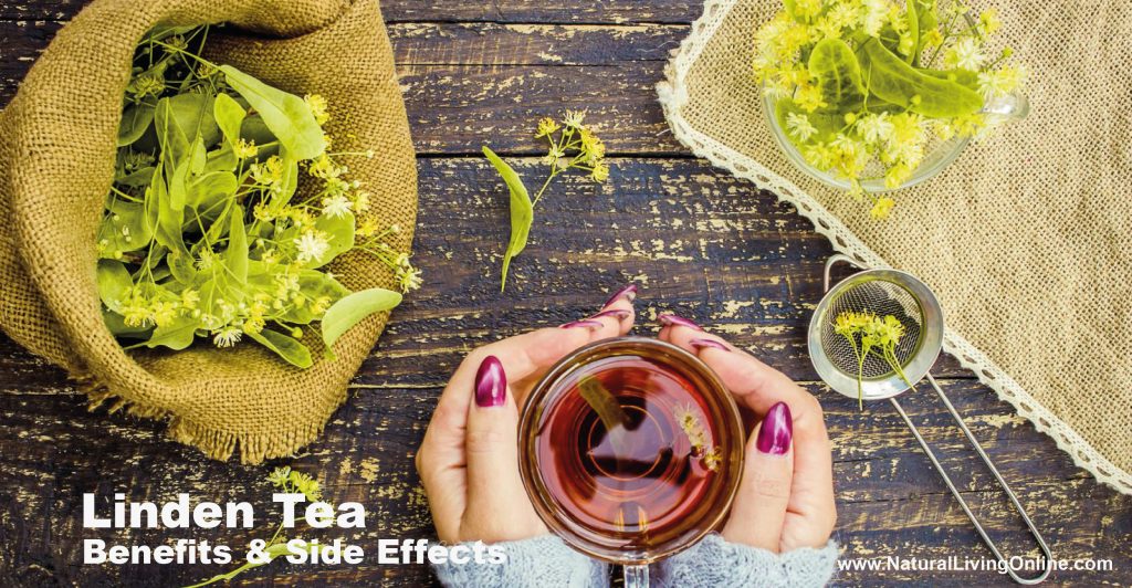 Linden Tea Benefits: Soothing Elixir for Mind and Body