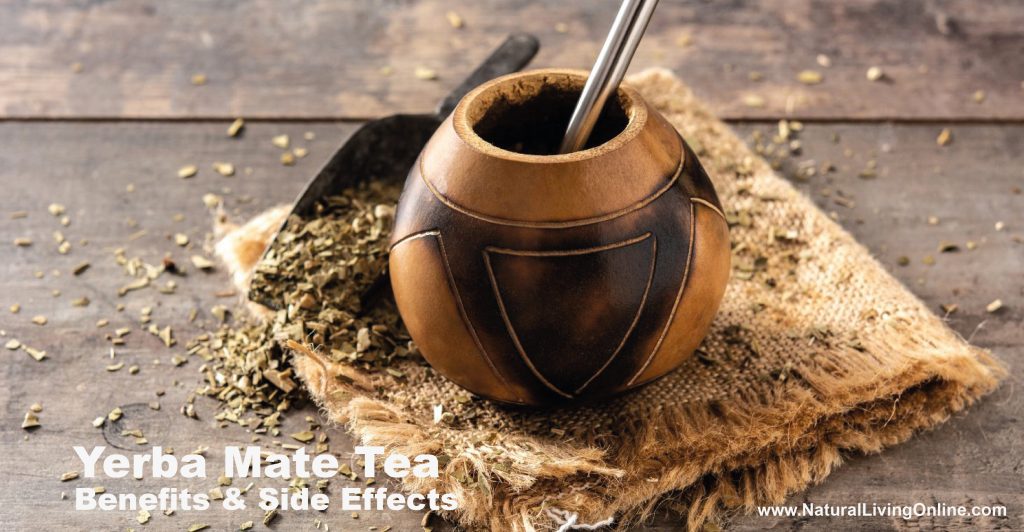 Yerba Mate Tea Benefits and Side Effects: A Comprehensive Overview
