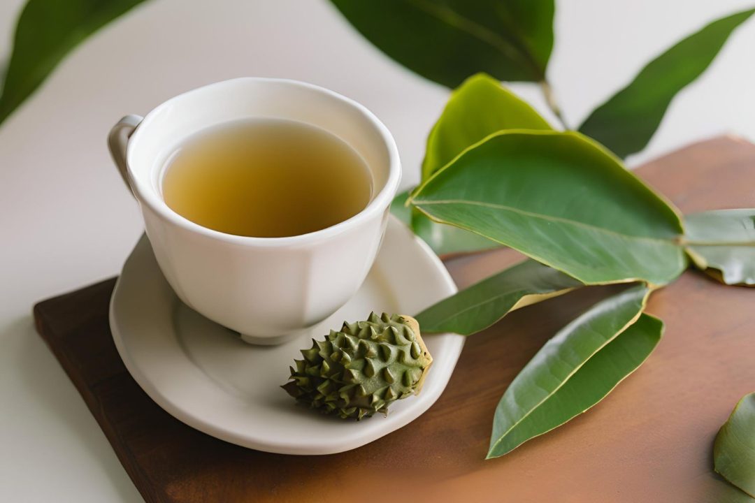 Soursop Tea Benefits: A Potent Natural Remedy for Health and Wellness